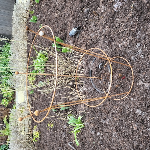 Rusty Metal Peony Garden Support Cage Frame Peonies Herbaceous Plant ...