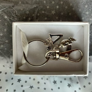 Tree Keyring, Personalised Gift, Nature Keychain, Silver Charm ...