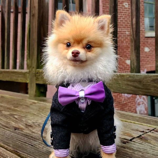 Dog Fall Winter Vest, Suit Jacket, Formal Dog Tuxedo, Pet Formal ...