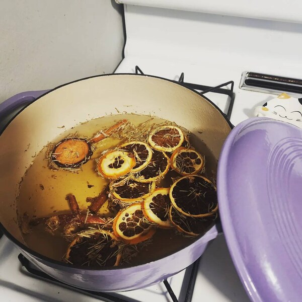 Protection Simmer Pot Spell - Etsy