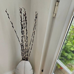 Contorted Willow, Natural Corylus, Twisted Hazel 60cm. - Etsy UK