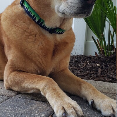 Treeline Dog Collar Trees Forest Nature Outdoors - Etsy