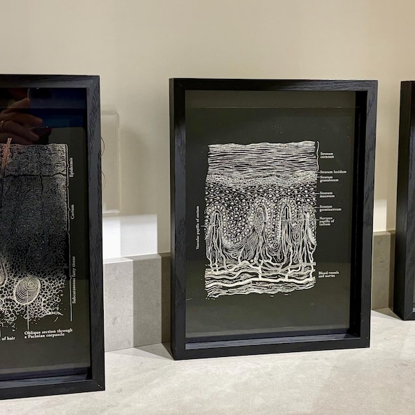 Square Floating Frame in Teak Veneer, Double Sided Frame, Glass Frame ...