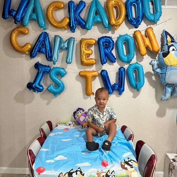 Wackadoo Custom Name is Two Bluey Balloon Banner Bluey Themed Birthday ...