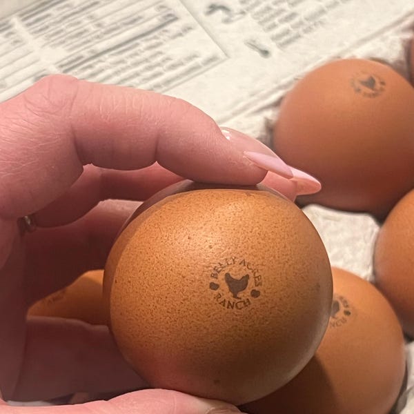 Egg Stamp Funny, Personalized Logo for Egg Marking, Custom 12mm Logo ...