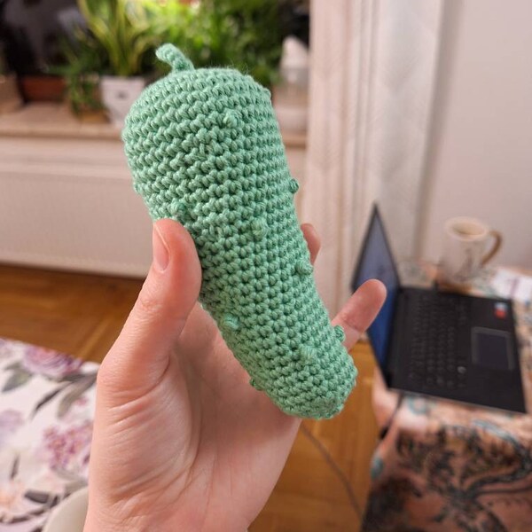 CUCUMBER Crochet Pattern for Beginners - Etsy UK