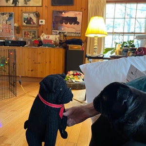 Poodle Poodle Lovers Gifts Dog Lovers Gifts Custom Made - Etsy