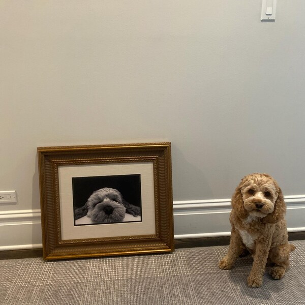 Oval and Round VELVET Picture Matting Hand Wrapped Double Mat Choice of ...