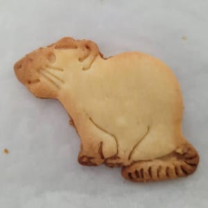 Rats Rat Rodent Cookie Cutter Pastry Fondant Dough Biscuit - Etsy