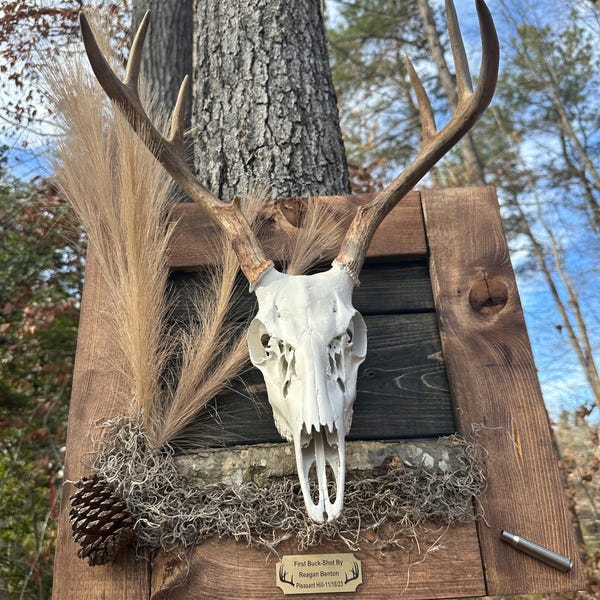 Custom Engraved Buck Plaque With Antlers Gold Silver Copper Bronze Tone ...