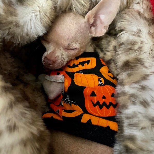 Luxury Small Pet Sling With Plush Faux Fur, Bunny Sling, Pet Travel ...