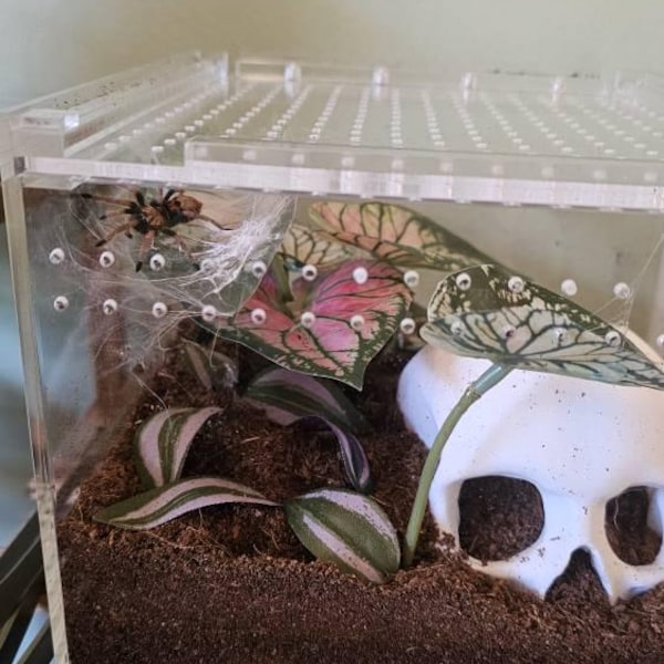 Reptile Repti Threaded Air Vents | STL File With Commercial Licensing ...