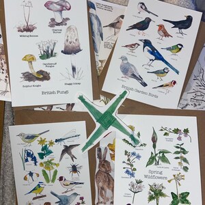 Spring Hope Concertina Card Spring Nature Card Wildflowers Imbolc Card ...