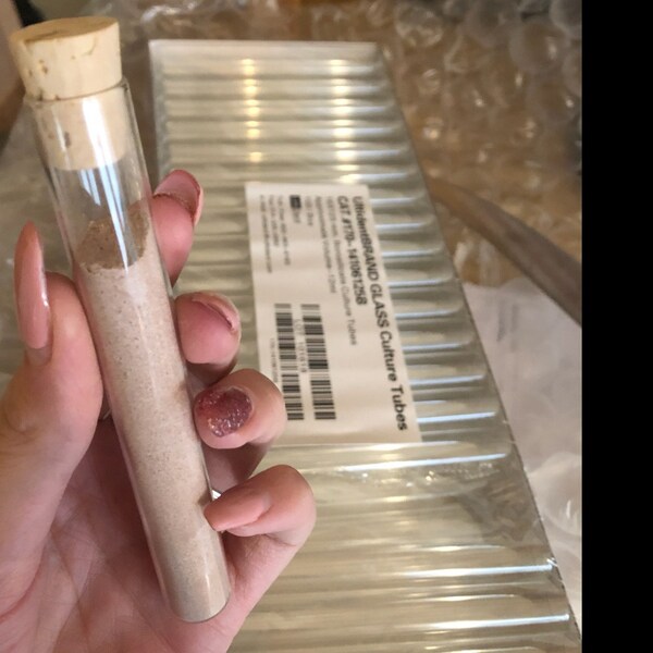 50 Count Glass Culture/test Tubes Various Sizes FREE SHIPPING - Etsy