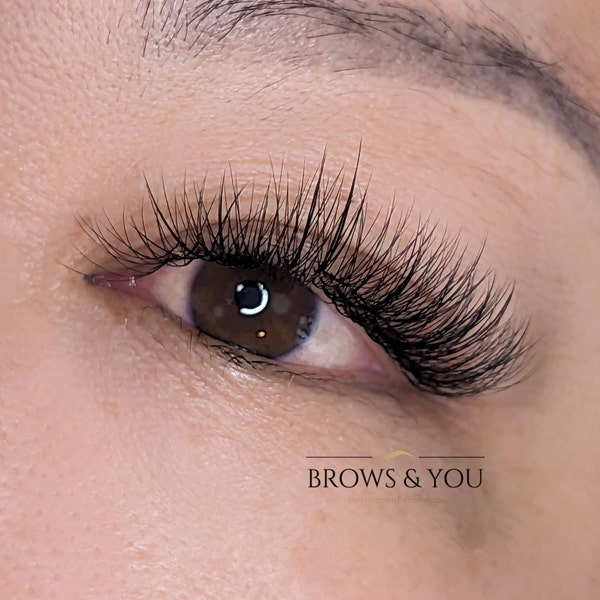 500 Premade Volume Lash Fans - 3D, 4D, 5D, 6D, 7D, 8D, 9D, 10D, 12D ...