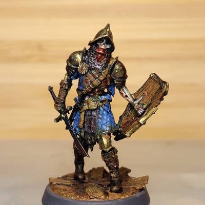 Flag Bearer, Bannerman, Fighter, Cloak, Spiked Plate, Chain Mail, Spear ...