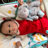 Reborn Baby Boy Sam by Vahni Gowing CUSTOM ORDER - Etsy UK