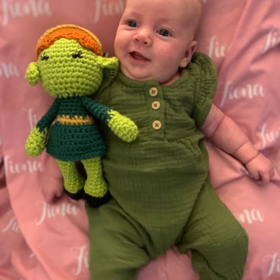 Princess Fiona From Shrek Inspired Doll/fiona Doll/soft Toy Doll/ Plush ...