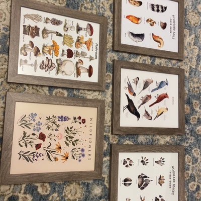 Wildflowers Print, Wildflowers Art, Educational Poster, Wildflower ...