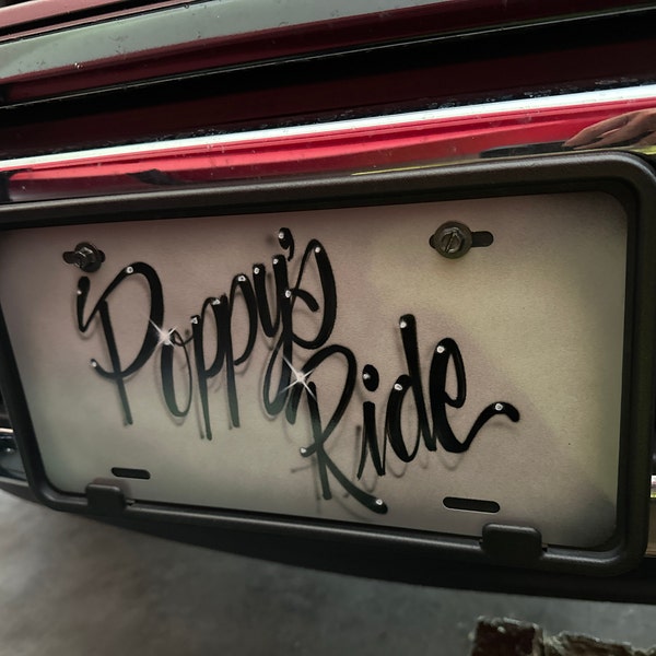 Airbrushed Car Tag Colorful Beach Scene Front License Plate Custom ...