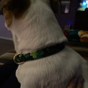 ACU Digital Camo Dog Collar by Swanky Pet | Etsy