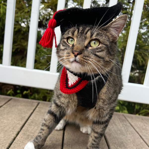 Graduation Costume for Cat, Graduation Cat Cap, Gift for Cat Lover, Cat ...