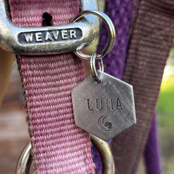 Custom Bridle Tag, Halter Tag, Horse Name Tag, Gift for Horse Lover ...