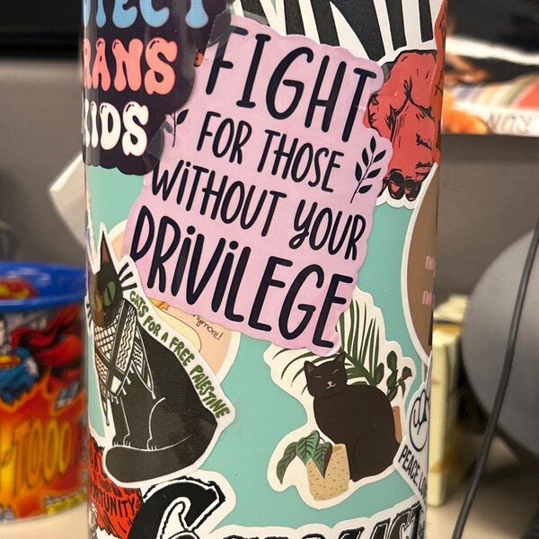 Fight for Those Without Your Privilege | Liberal Stickers | Social ...