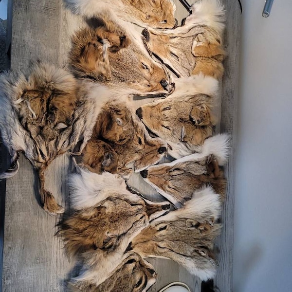 Silver Fox Fur Heads - Set of 10 - Etsy