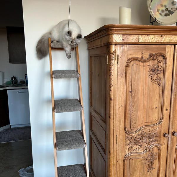 Cat Ladder - 3 Step Cherry Hardwood | Handcrafted High-quality Ladder ...