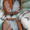 XL Tracas Geode From Mexico Semi Sold Geode Wet Saw Lapidary Rocks ...