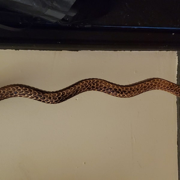 African Python Original Hiking Walking Stick Cane Handmade Kenya Africa ...