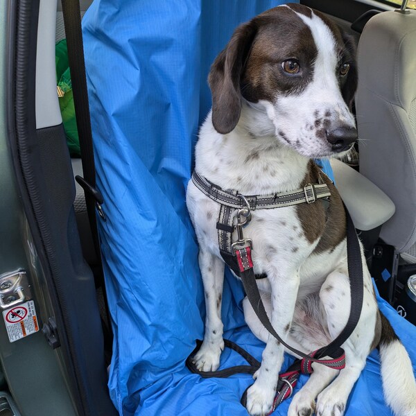 Car Seat Cover-protective Towel for the Car-all Natural Fabrics-turkish ...