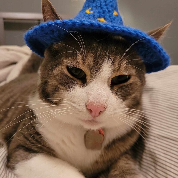 Magical Wizard Hat Written Crochet Pattern | Halloween Crochet Hat for ...