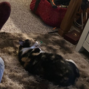 Cat Toys Felt Catnip Joints Set of 3 Available in Catnip, Lemongrass ...