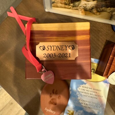 Custom Engraved Buck Plaque With Antlers Gold Silver or Copper Name ...