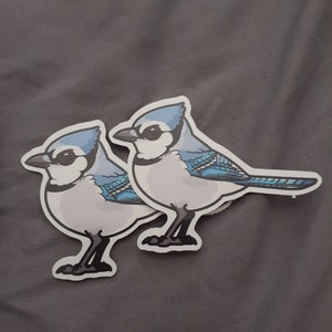 Gyrfalcon, Cute Bird Sticker: Raptor (waterproof) - Etsy