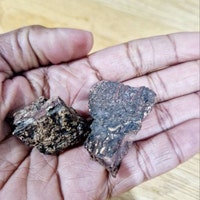 Obi Edun/monkey Kola - Etsy