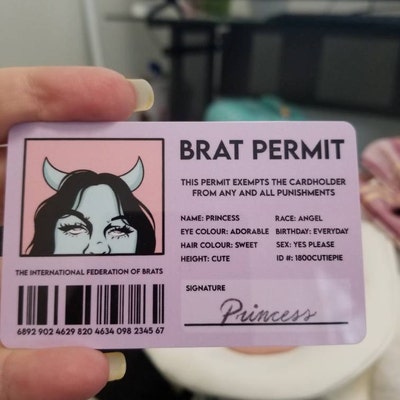 Babyboy Permit Card 3 X 2 X 0.03 Pastel Plastic ID Card - Etsy