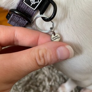 Tiny Microchip Dog Tag Microchipped Add On Dog Collar Pet - Etsy