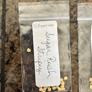 15 Numex Pinata Pepper Seeds isolated-padded Envelope - Etsy