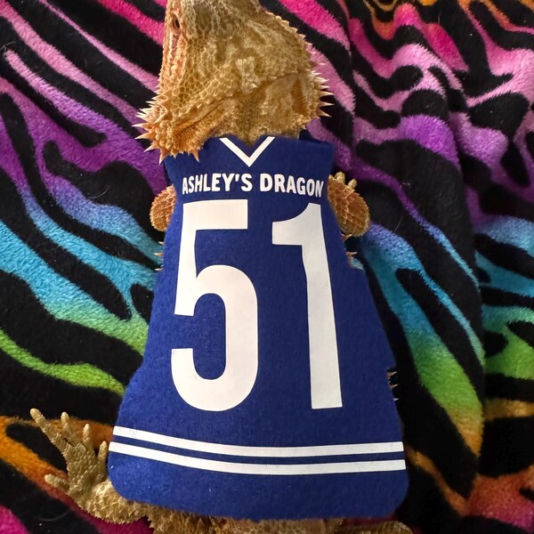 Rat Sweater for Rat Crochet Sweater for Small Pet Sweater for Fancy Rat ...