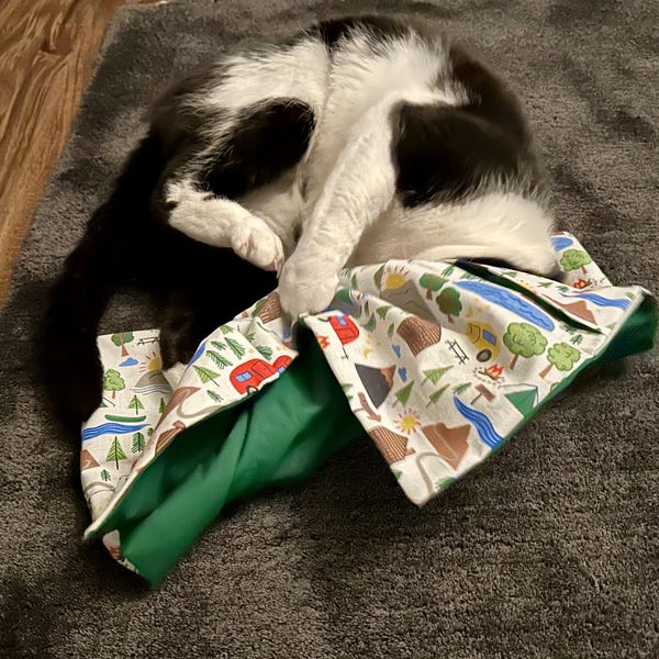 Kitty Gifts Crinkly Cat Nip Mat, Fun Cat Toys, Custom Cat Bed, Padded ...