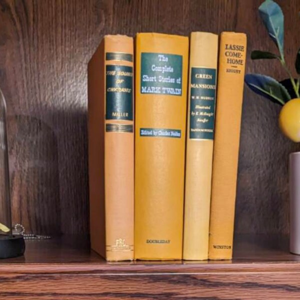 Rustic Decorative Book Set in Dusty Rose and Beige - Etsy