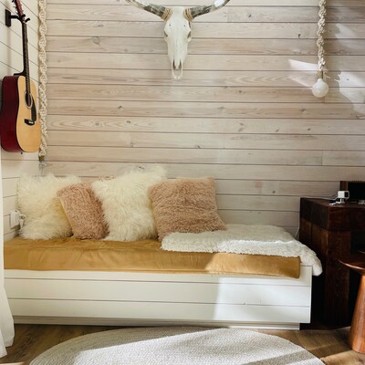 Steer Skull ART Western Decor Polished Long Horns Mounted 4' 9 Cow Bull ...