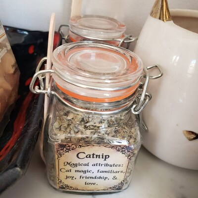 Catnip Herb & Jar - Etsy