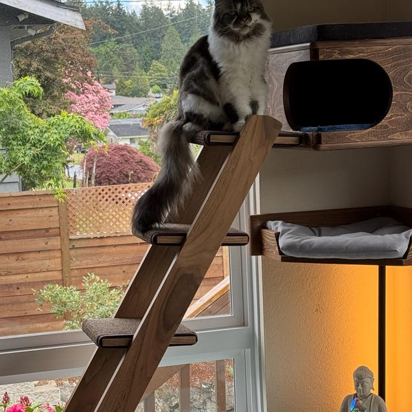 Cat Ladder - 3 Step Cherry Hardwood | Handcrafted High-quality Ladder ...