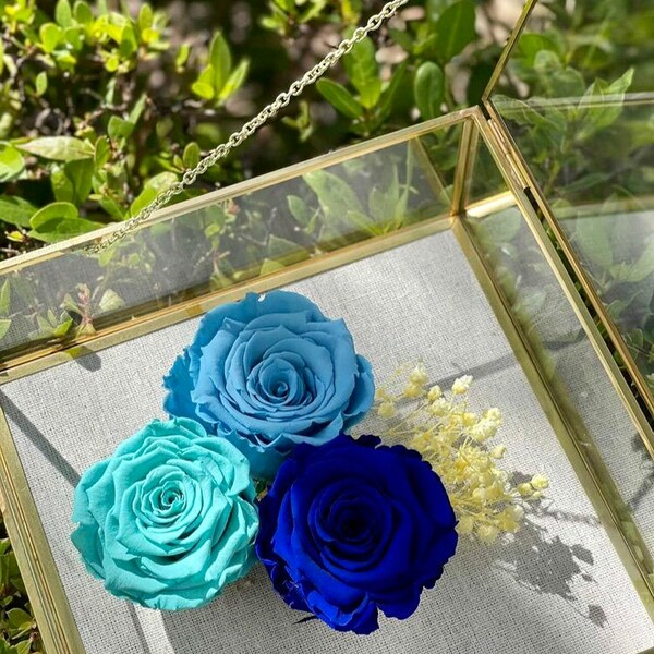 Eternity Roses in a Glass Box | Metallic Roses in a Brass Box | Shadow ...