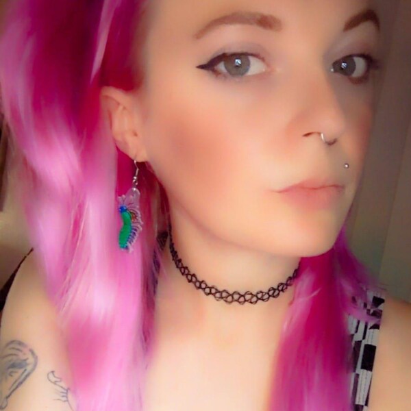 Magnet Set - 7 Cephalopods, Flamboyant Cuttlefish, Pajama Squid ...