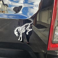 Two Color Set of Ford Bronco skeleton Emblems and Badges / Calling All ...